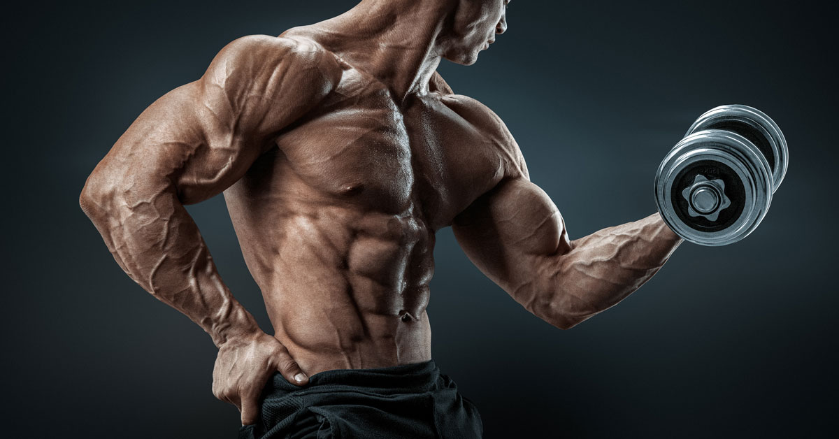 40 Regeln für die Definition - Teil 2 - Fitnessmagnet©