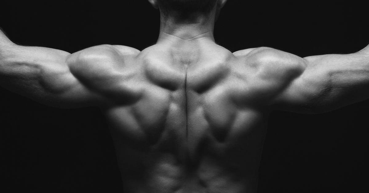 Basics des Nackentrainings - Fitnessmagnet©