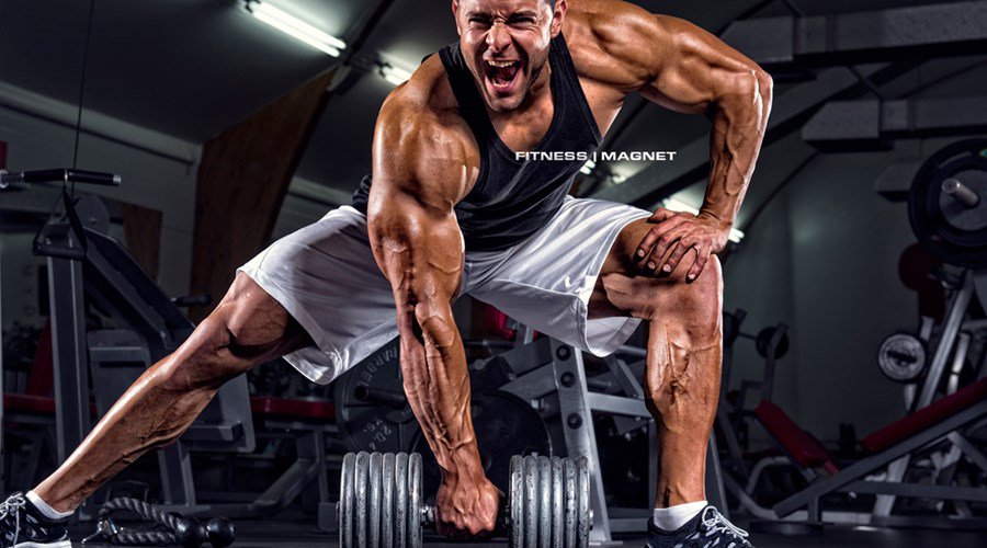 5 Top-Programme für mehr Muskelmasse - Fitnessmagnet©
