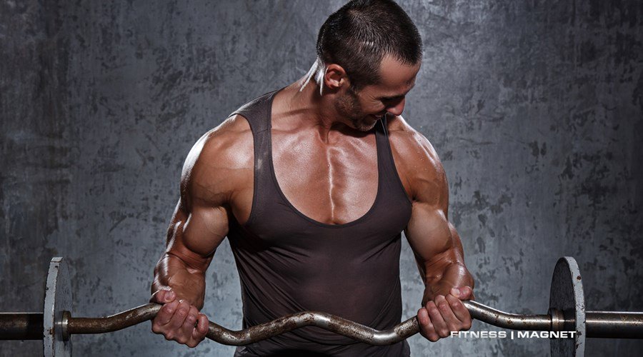 Das Training für den maximalen Muskelaufbau - Fitnessmagnet©