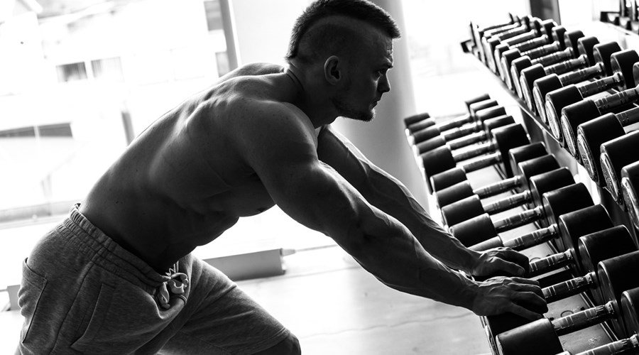 Muskelaufbau-Übungen im Ranking - Fitnessmagnet©