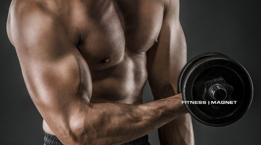 Muskelaufbau für den endomorphen Körperbautyp - Fitnessmagnet©